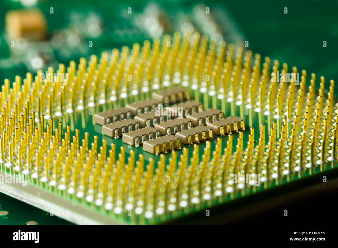 Computer CPU pins (CPU back, CPU rear view Stock Photo - Alamy