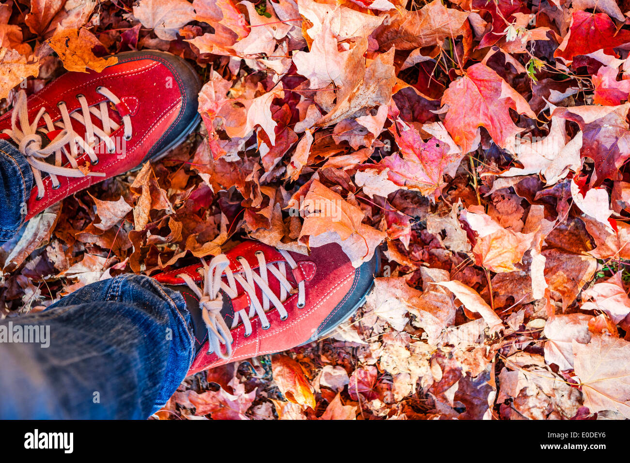 Red shoes hi-res stock photography and images - Alamy