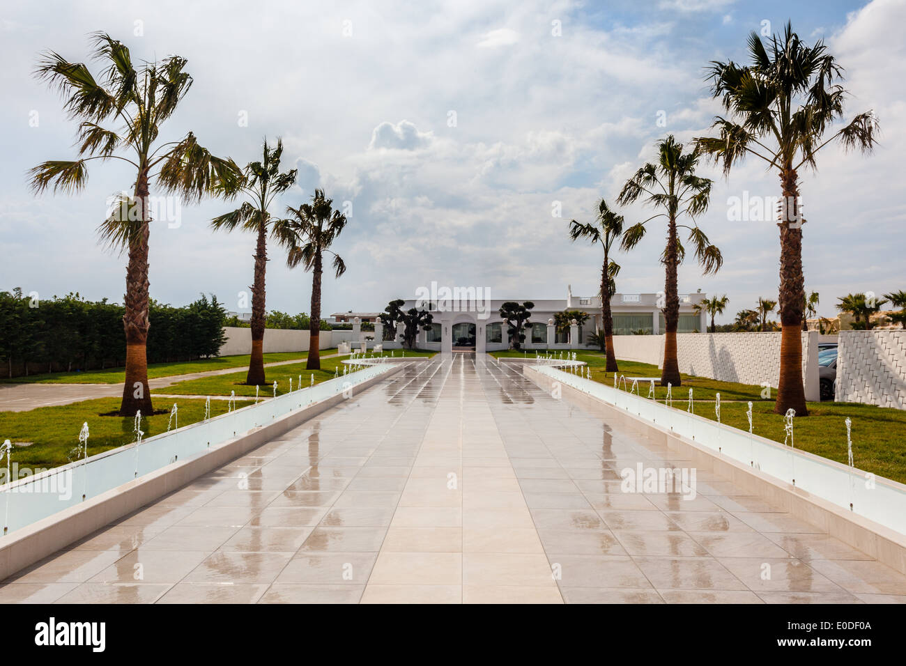 a majestic villa driveway with palm trees on sides Stock Photo - Alamy