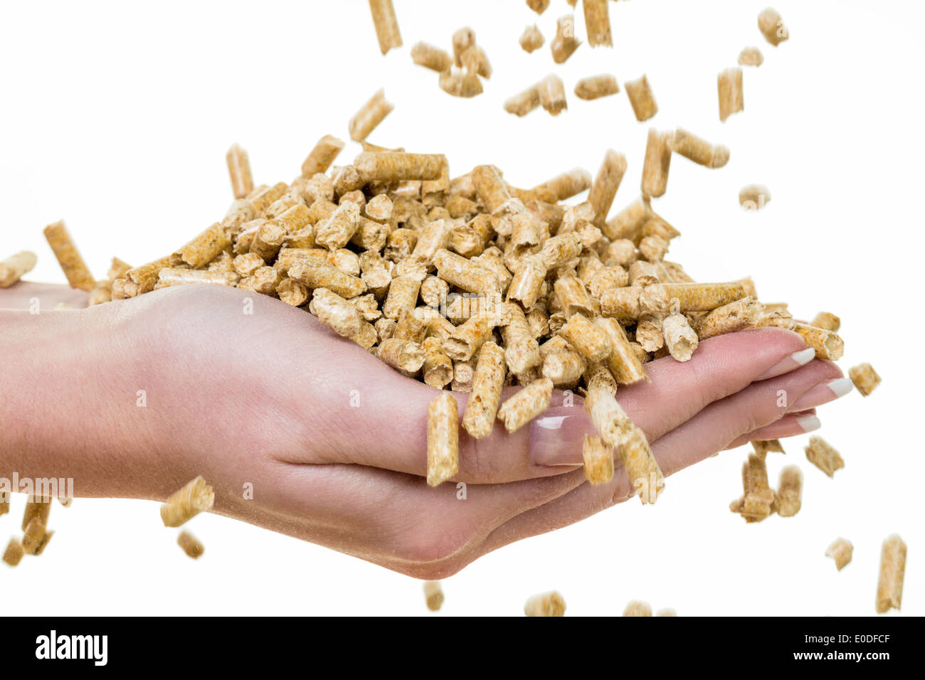 Hand with Pellets as an alternatie energy. Before white background ...