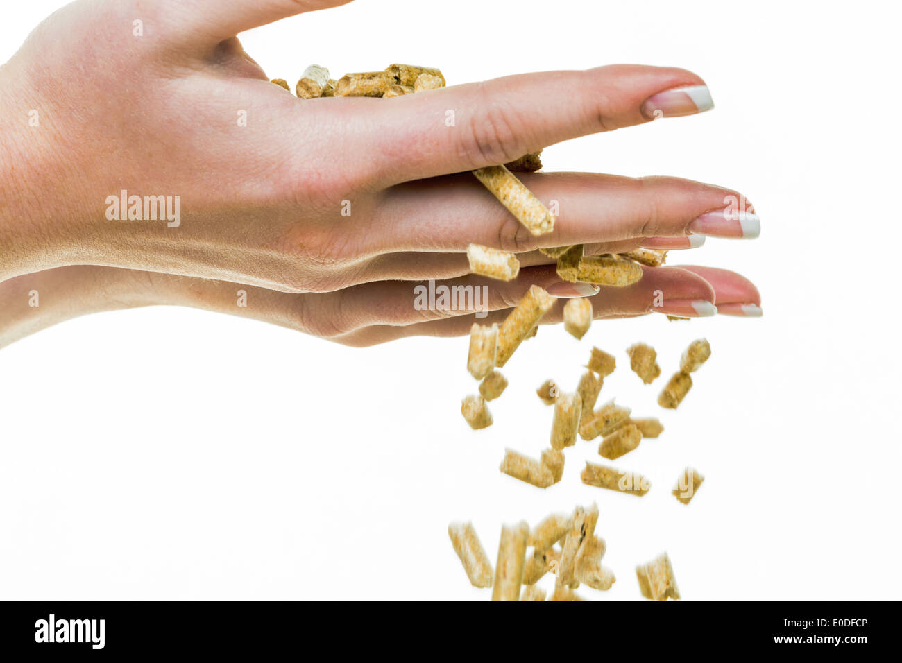 Hand with Pellets as an alternatie energy. Before white background ...