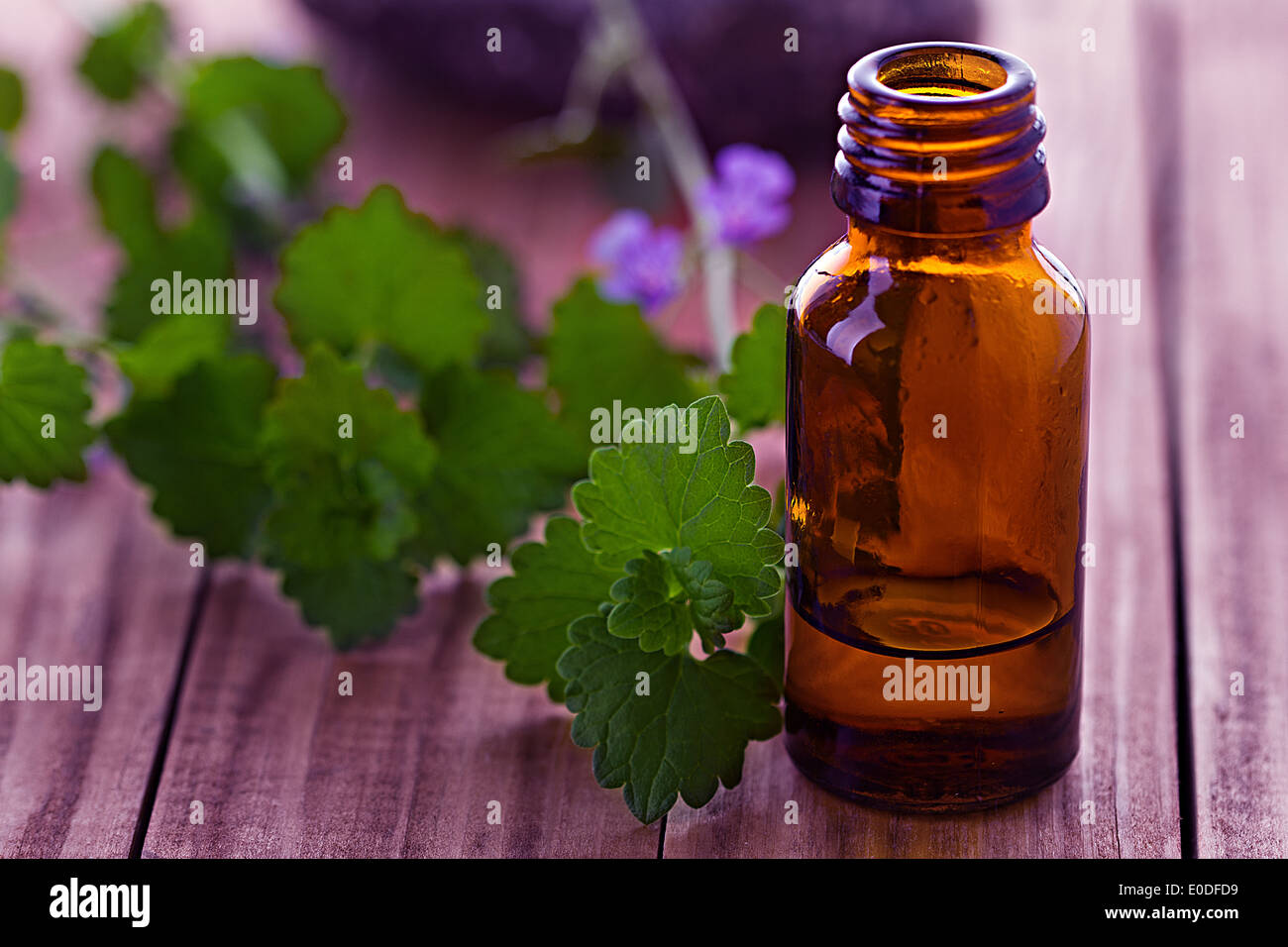 Essential oil spa treatment hi-res stock photography and images - Alamy