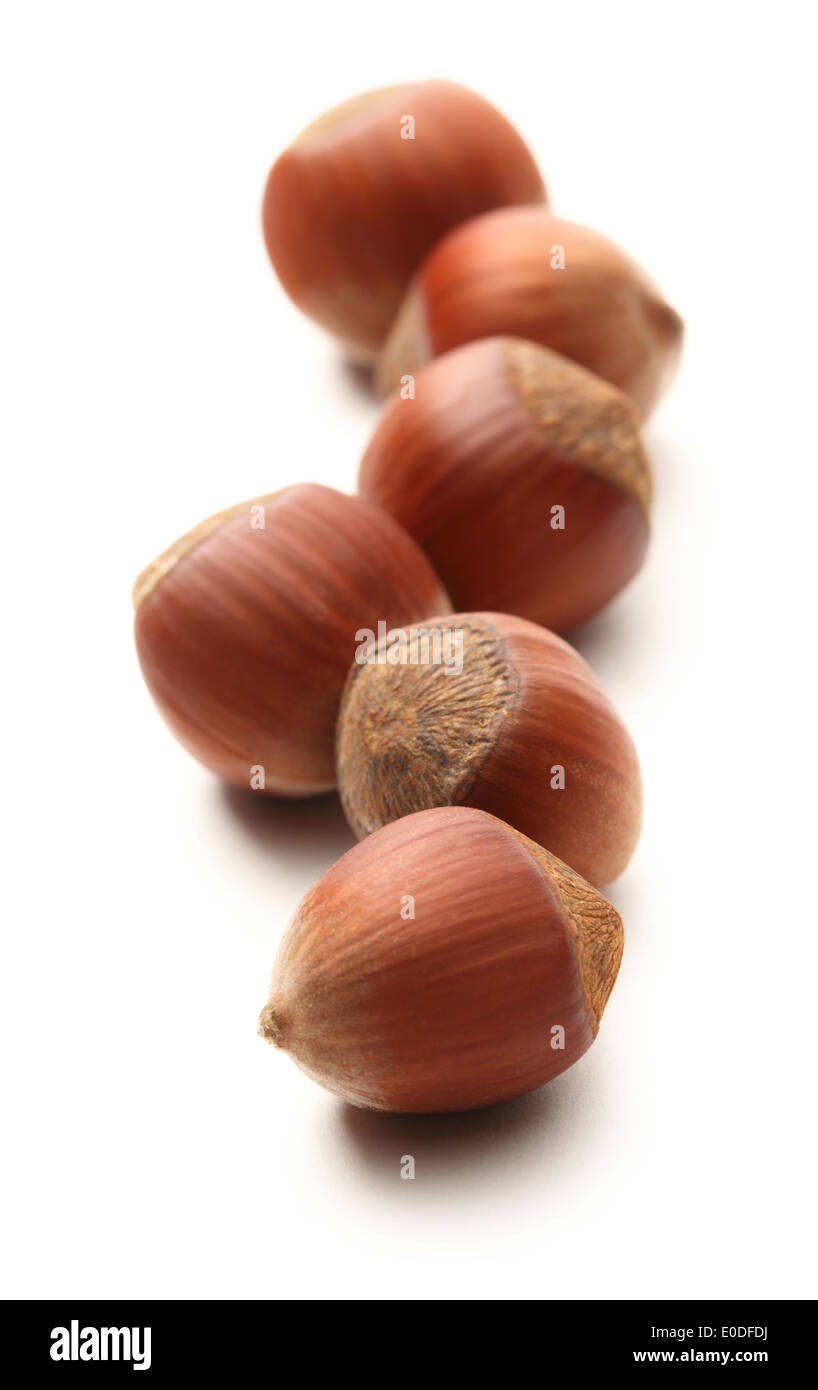 Fresh hazelnuts on white background Stock Photo - Alamy