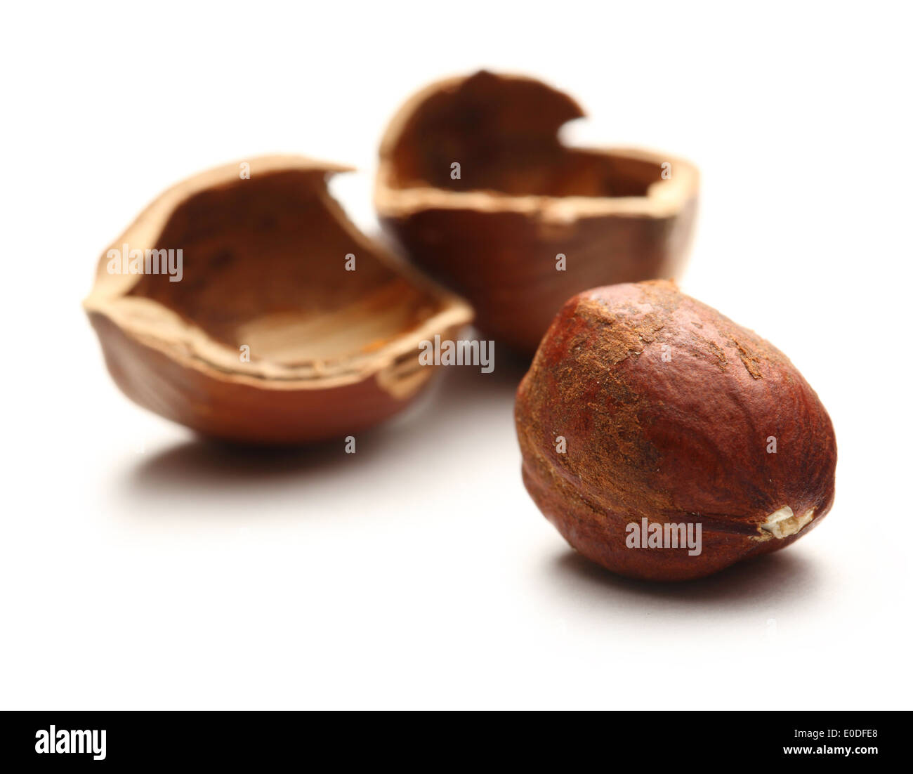 Empty nut shell hi-res stock photography and images - Alamy