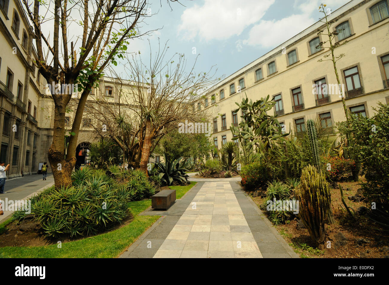 National Palace Botanic Garden, Mexico City, Mexico Stock Photo - Alamy