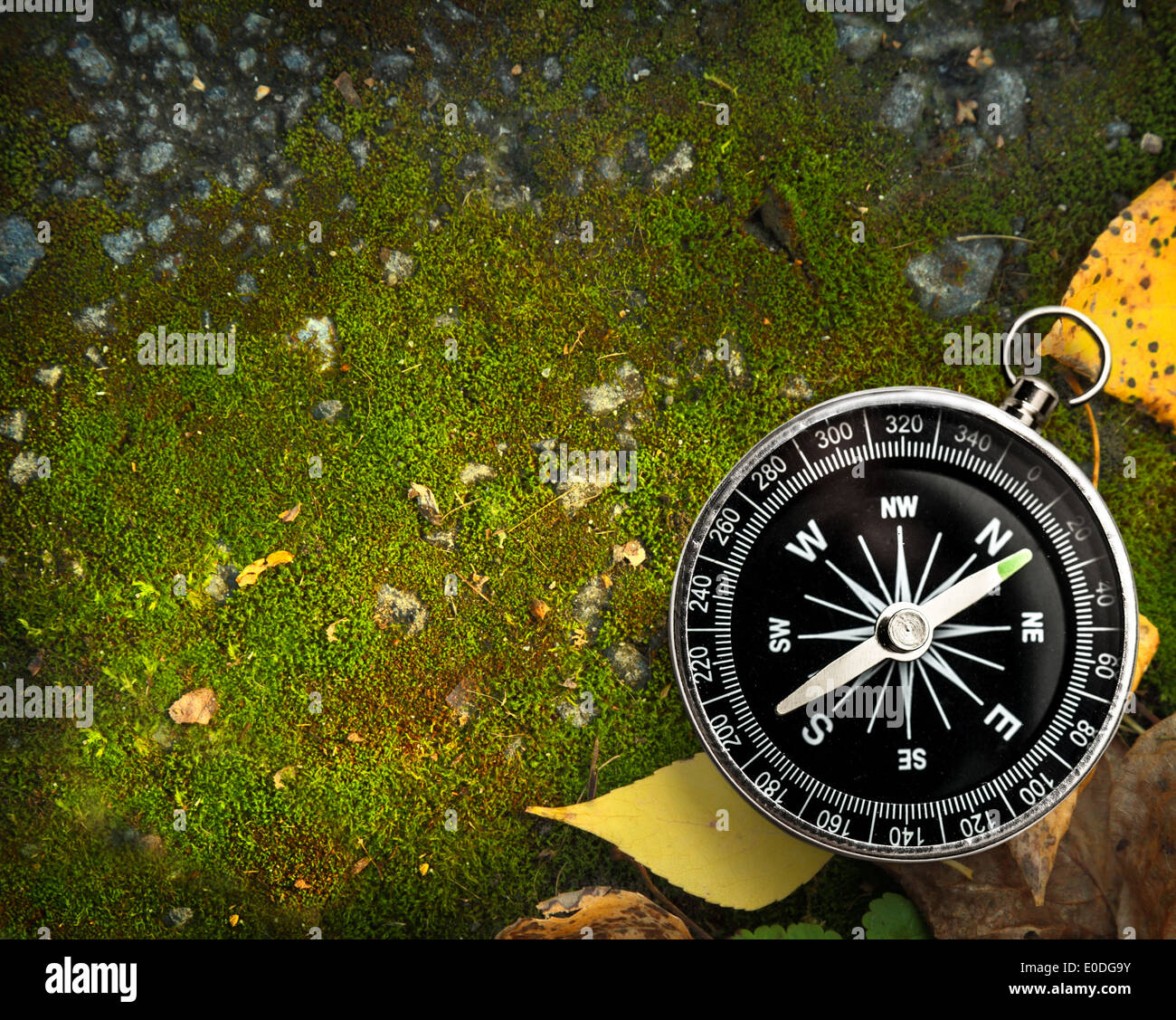 Compass on autumn foliage and moss ground Stock Photo - Alamy