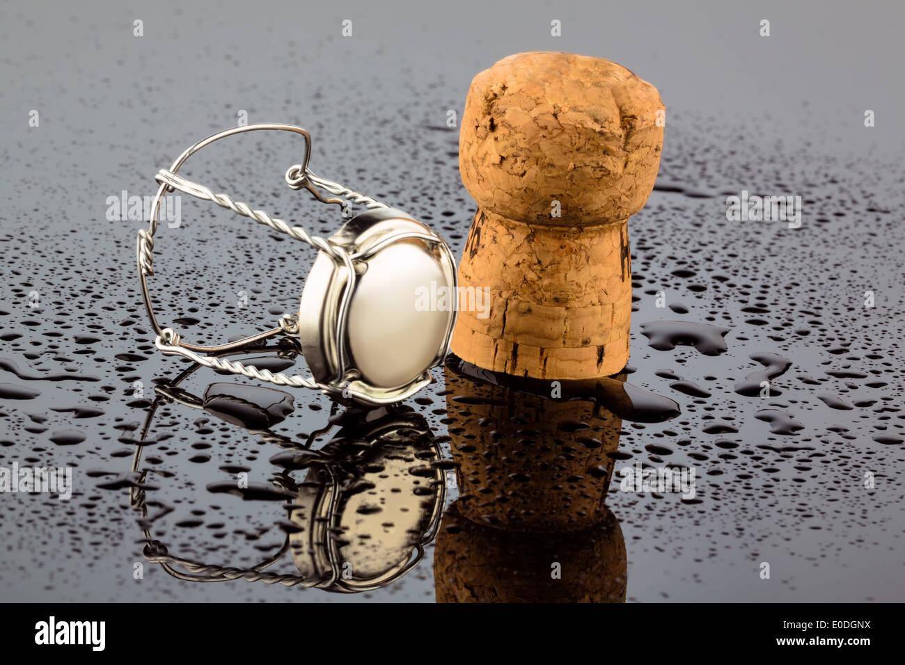 Studio festi hi-res stock photography and images - Alamy