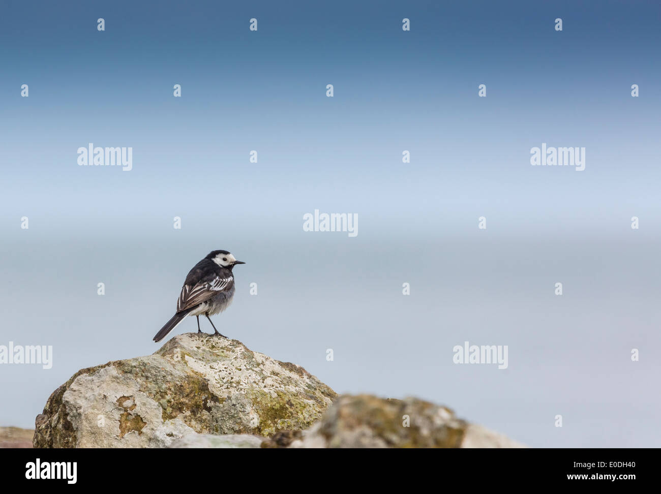 North coast northern ireland hi-res stock photography and images - Alamy