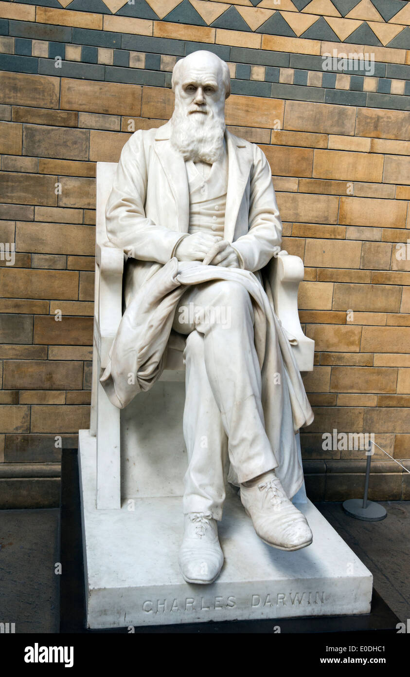 Darwin Statue in the Natural History Museum in London England UK Stock ...