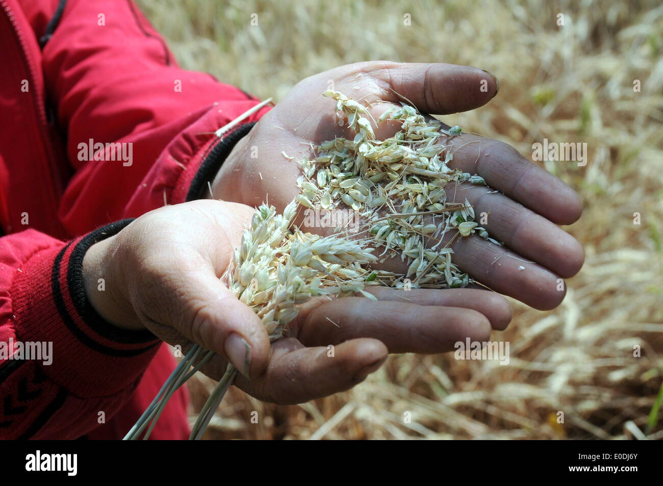 Guessed it hi-res stock photography and images - Alamy