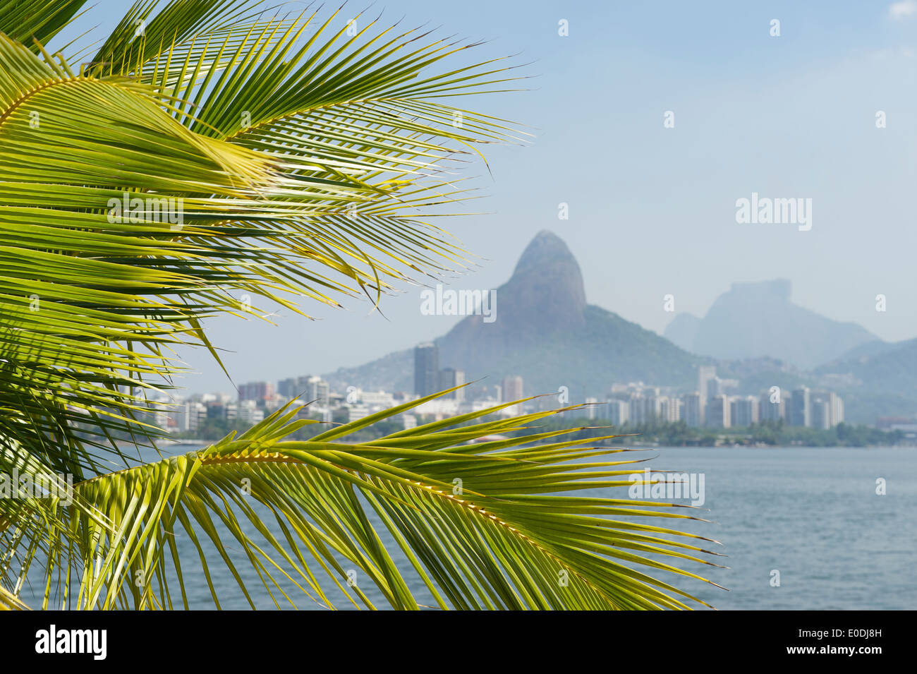 Tropical skyline view of Lagoa lagoon in Rio de Janeiro Brazil with ...