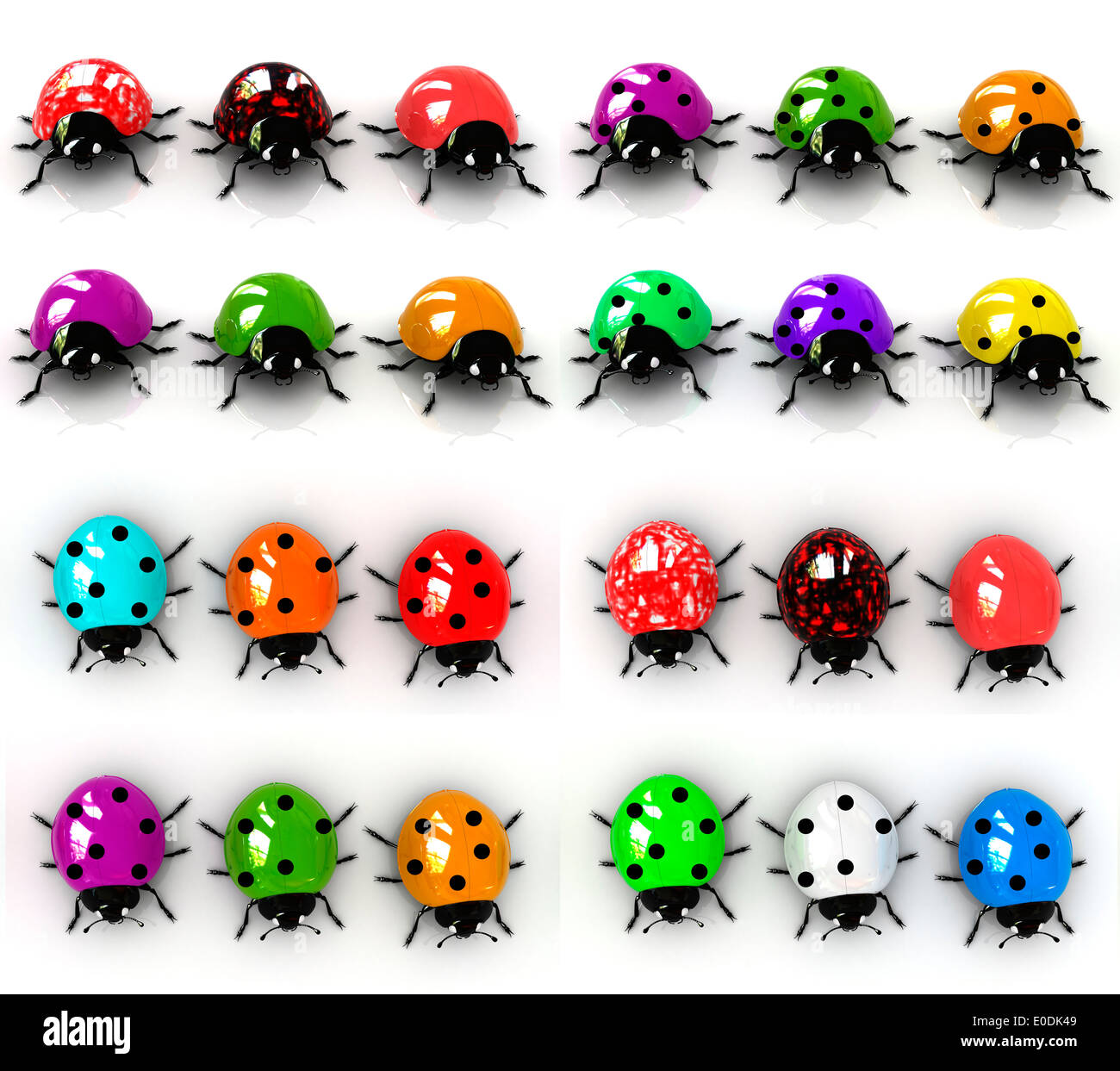 Ladybird set on a white background Stock Photo - Alamy