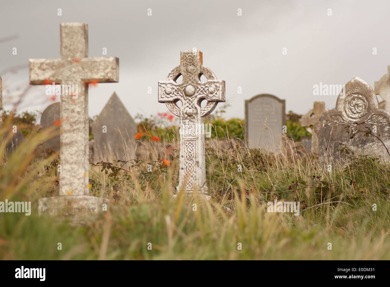 A gravestone on an old Irish graveyard Stock Photo - Alamy