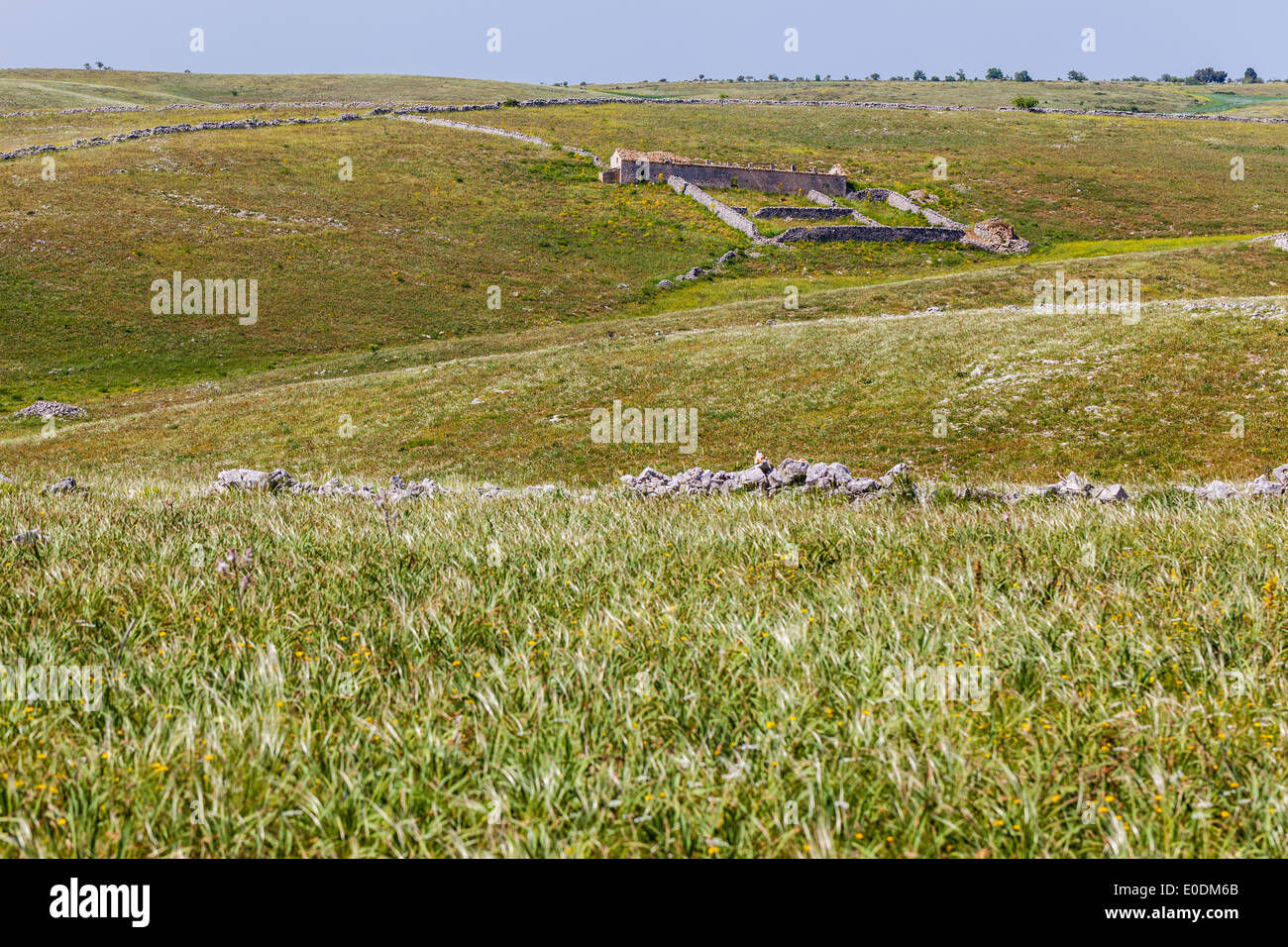 Sheepfolds hi-res stock photography and images - Alamy