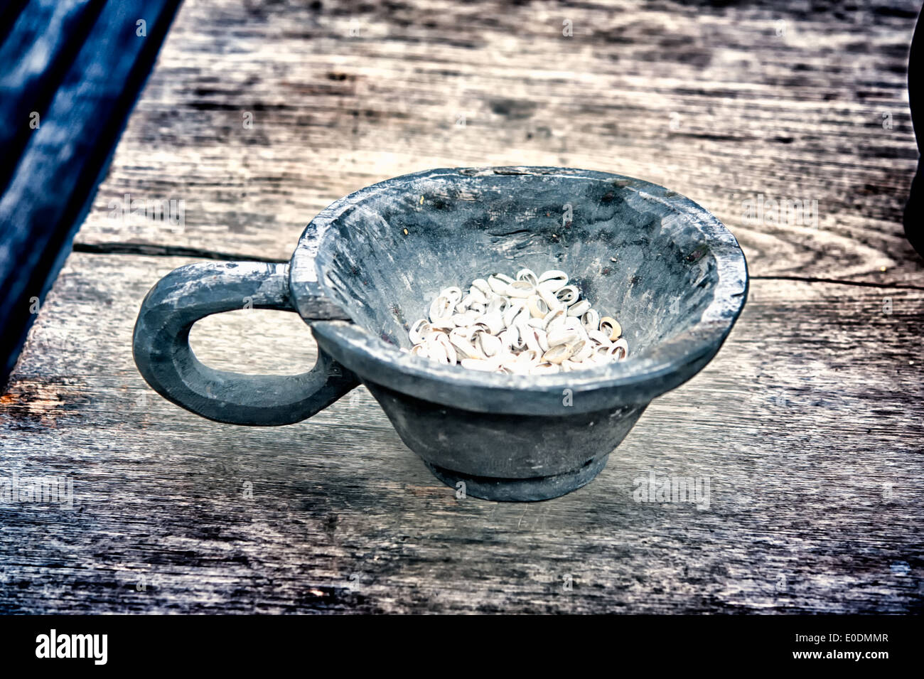 Money Cowry shells Stock Photo - Alamy