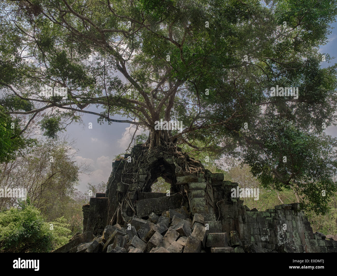 Beng beng hi-res stock photography and images - Alamy