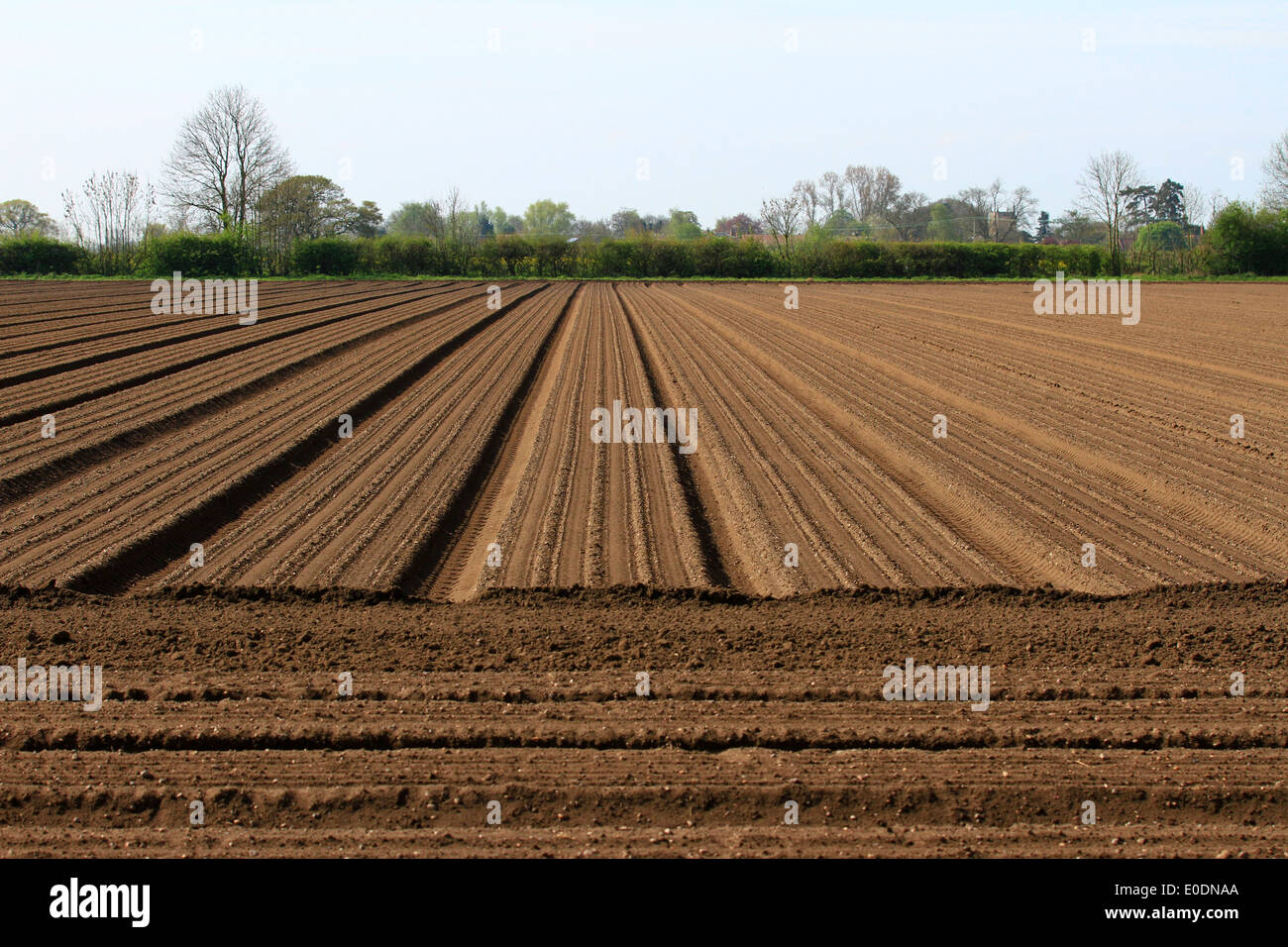 Ploughed field, patterns, straight furrows, ground, seedbed, Autumn ...