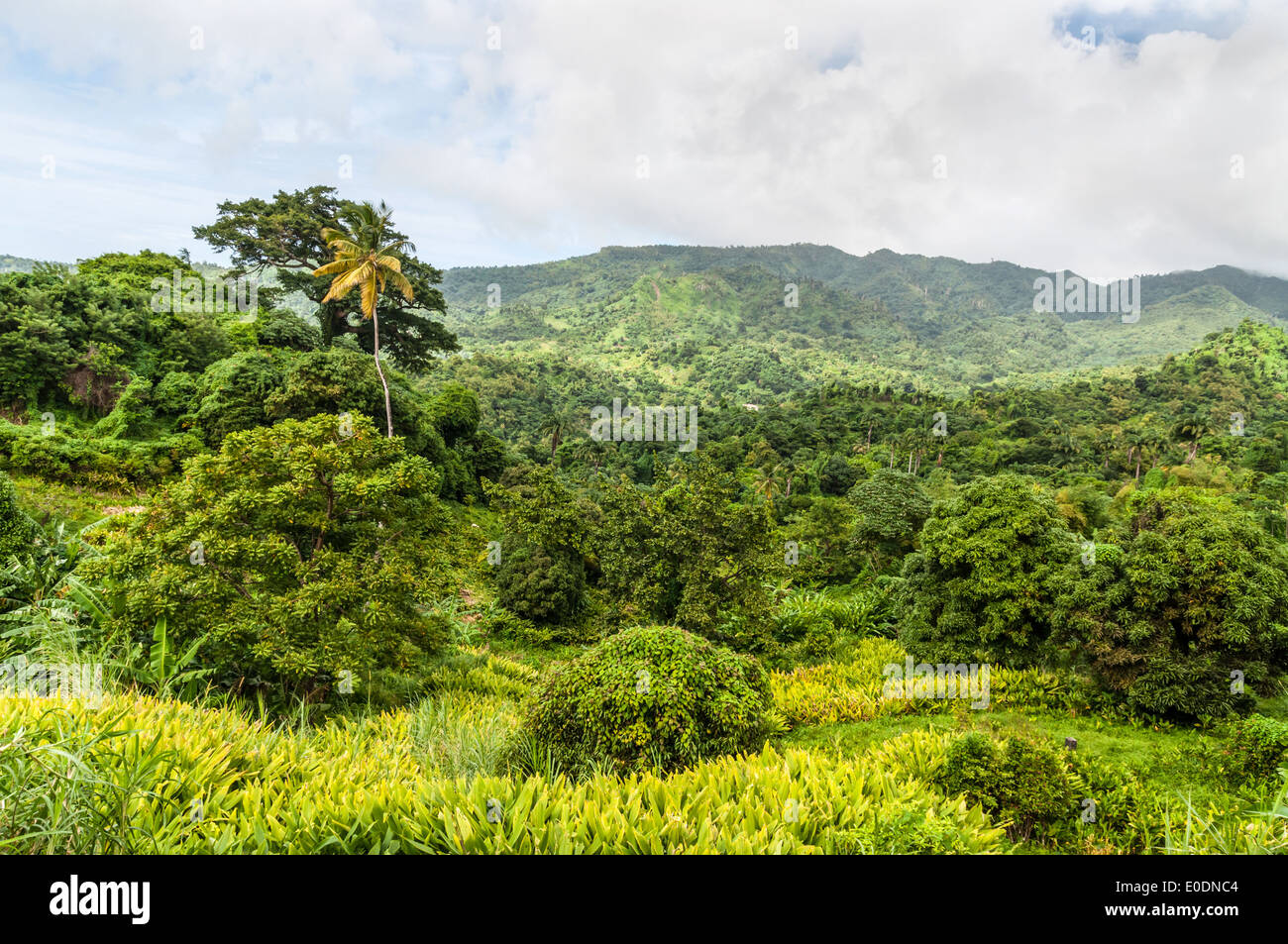 Grenada caribbean hi-res stock photography and images - Alamy