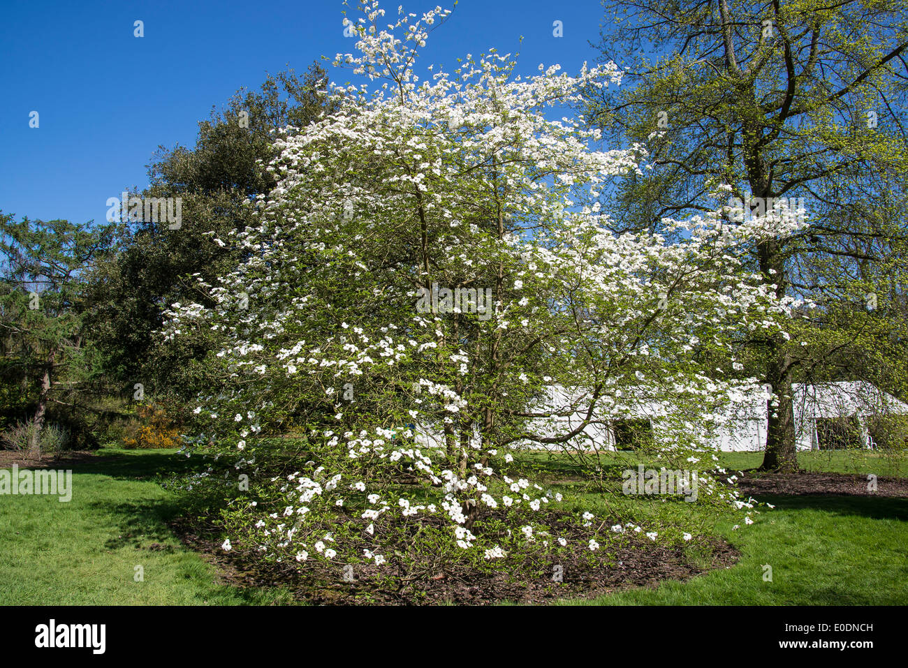 Ormonde hi-res stock photography and images - Alamy