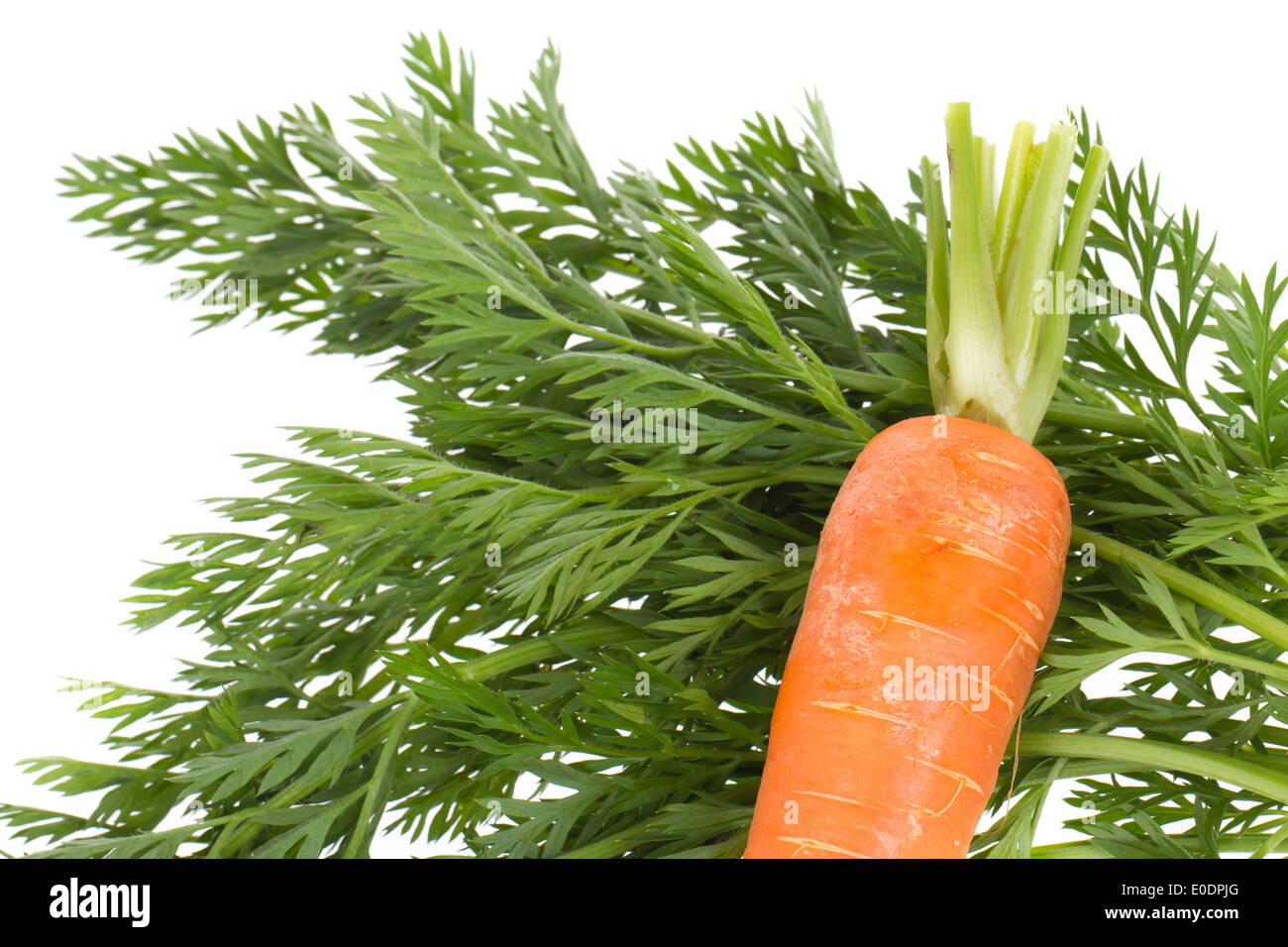 One carrot isolated on a white background Stock Photo - Alamy