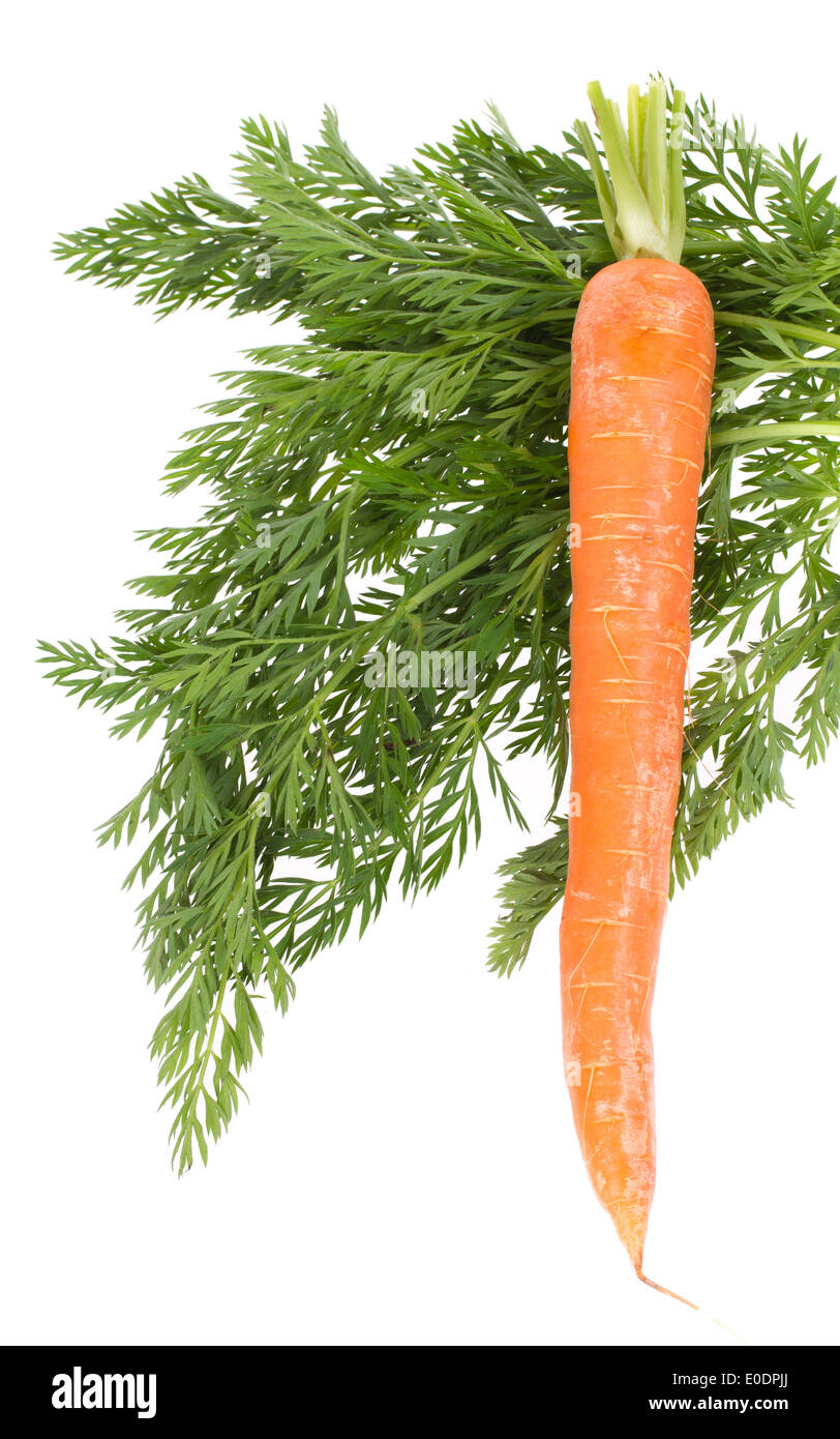One carrot isolated on a white background Stock Photo - Alamy