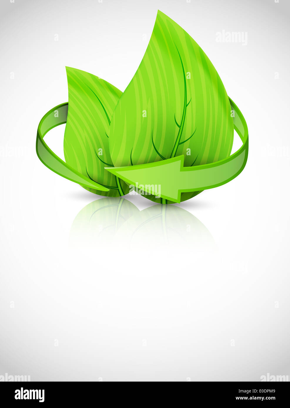 Green leaves with arrow Stock Photo - Alamy