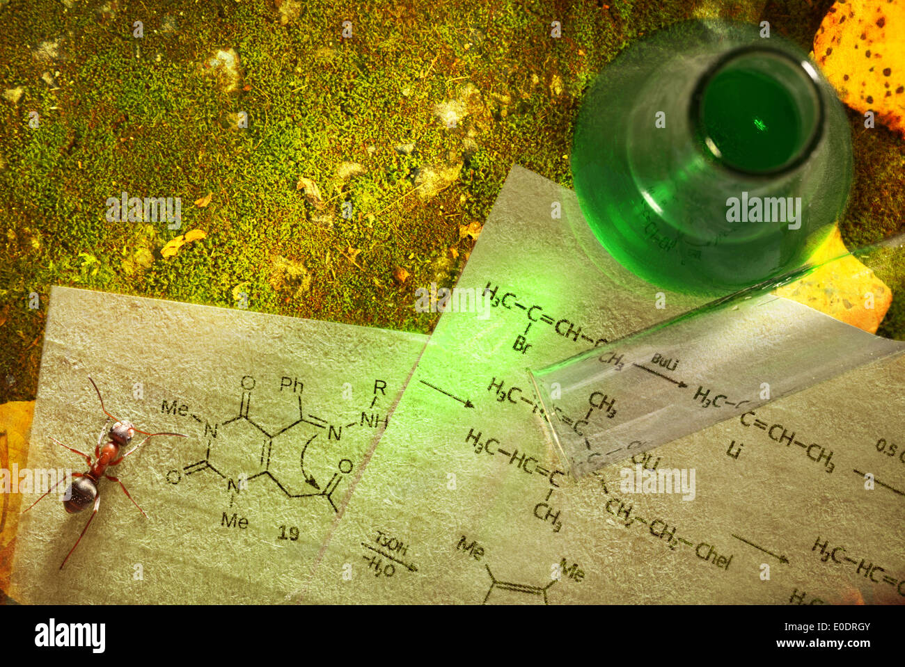Green chemistry with reaction formula on moss Stock Photo - Alamy