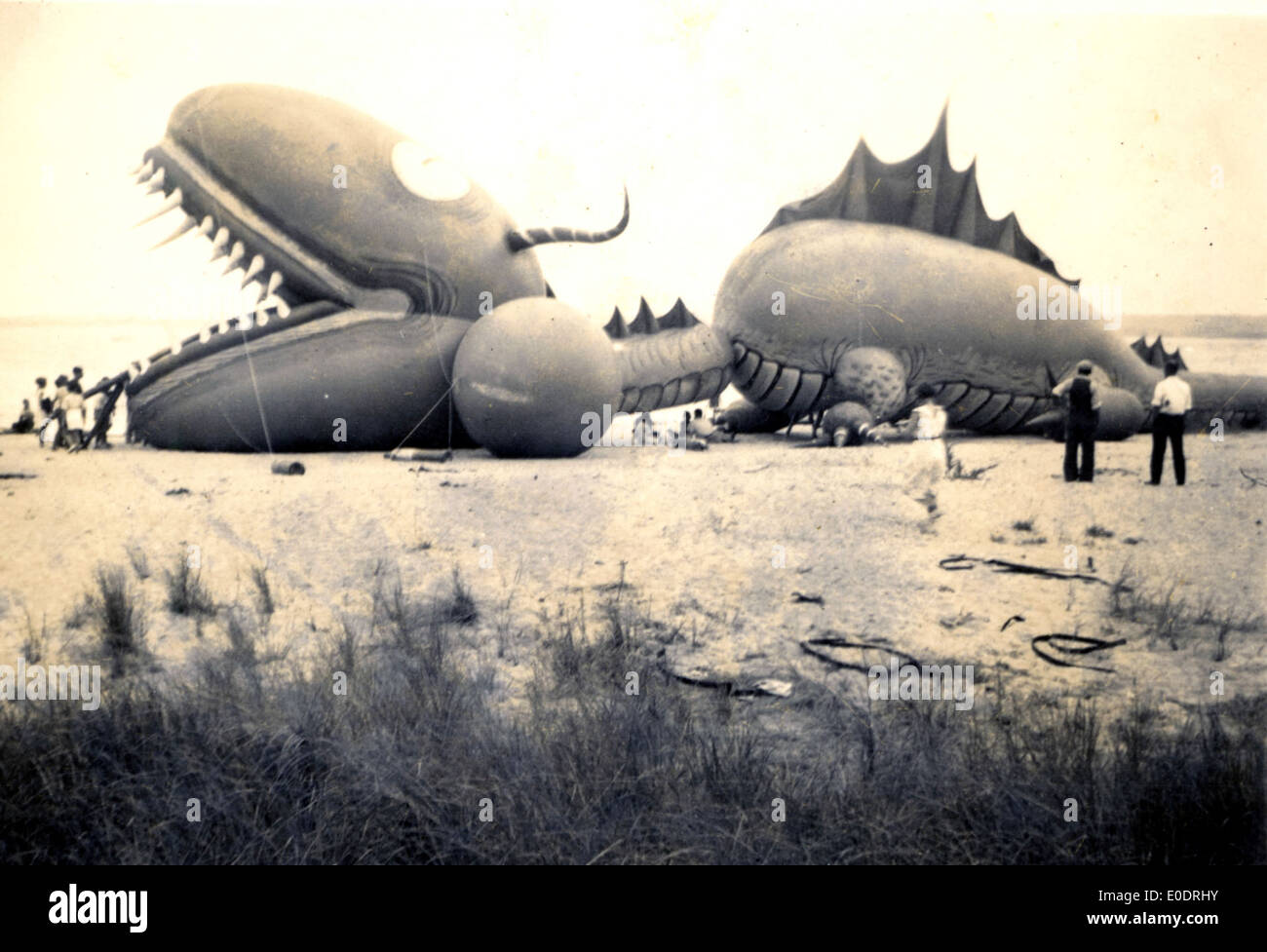 This image shows a depiction of a sea serpent, part of maritime ...