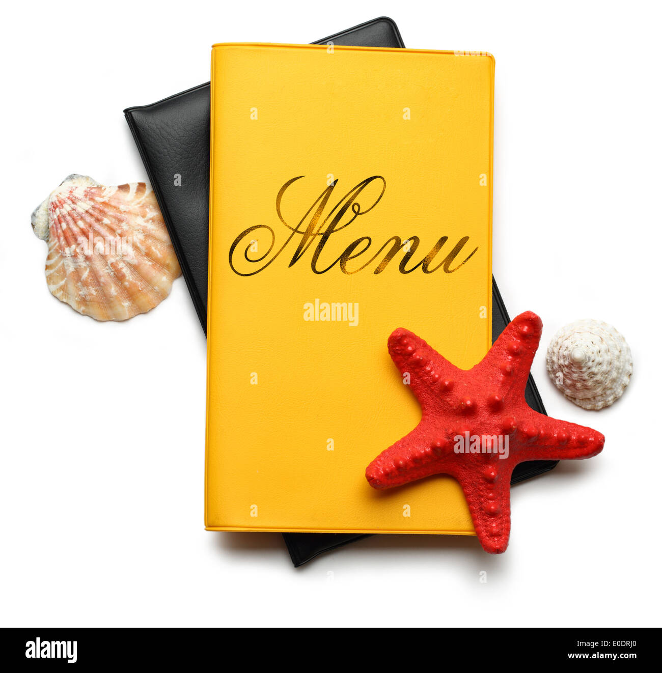 Seastar and seashells on menu book Stock Photo - Alamy
