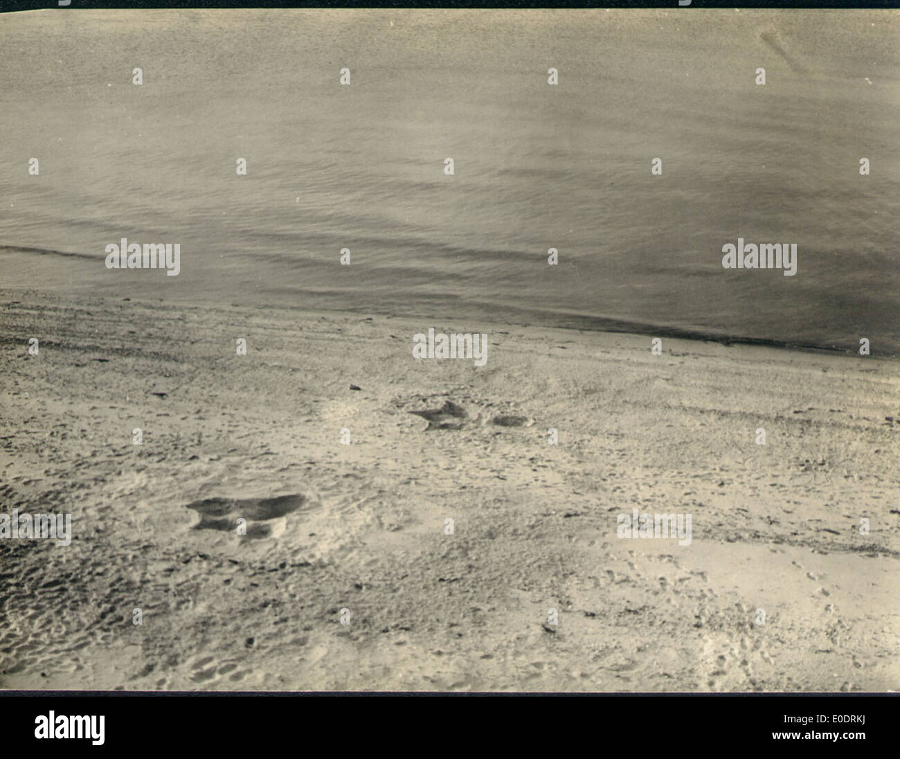 This image captures the lasting footprints left on the ground ...