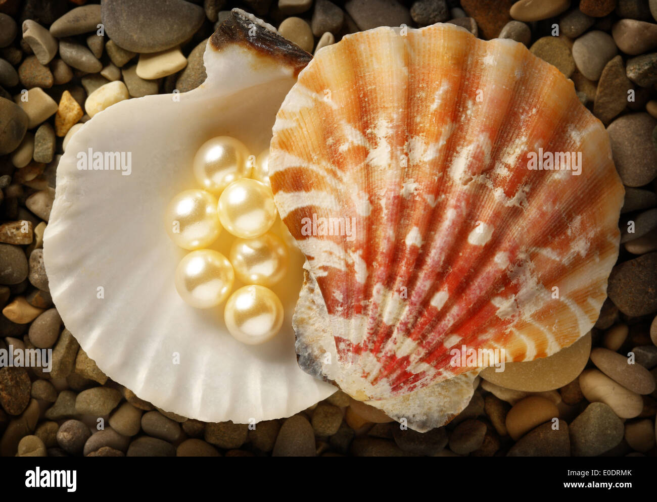 Scattering white pearls in seashell on pebbles Stock Photo - Alamy