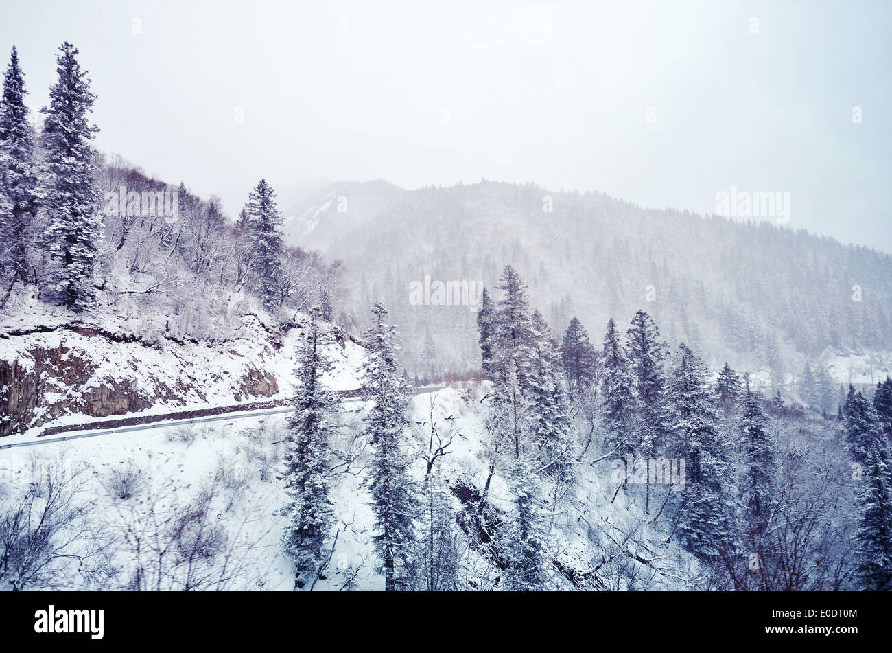 Winter fairy tale Stock Photo - Alamy