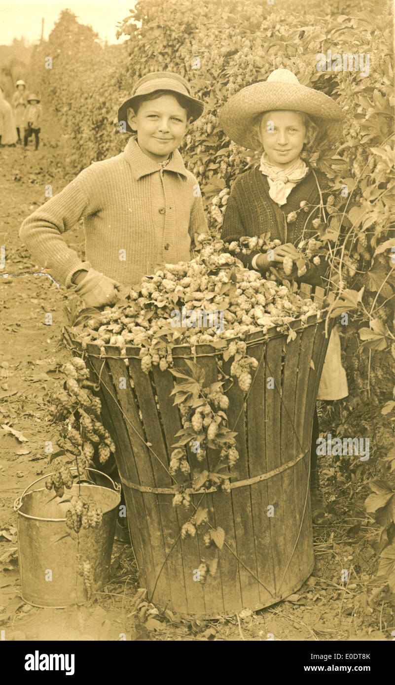 A photograph of two children carrying a basket of hops, taken in the ...