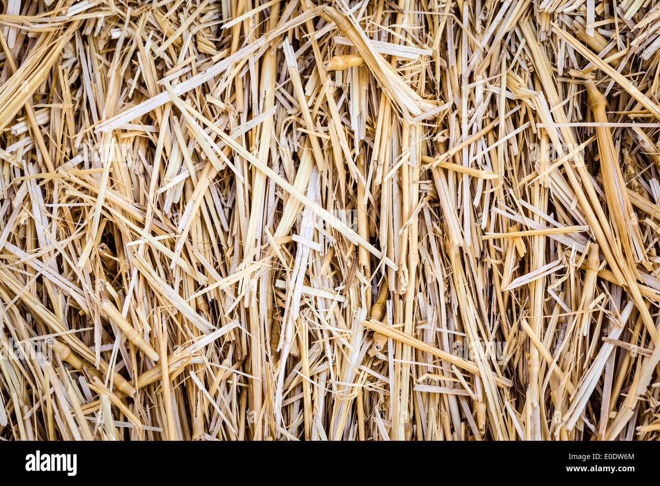 macro shot of a hay bale or an archery target Stock Photo - Alamy