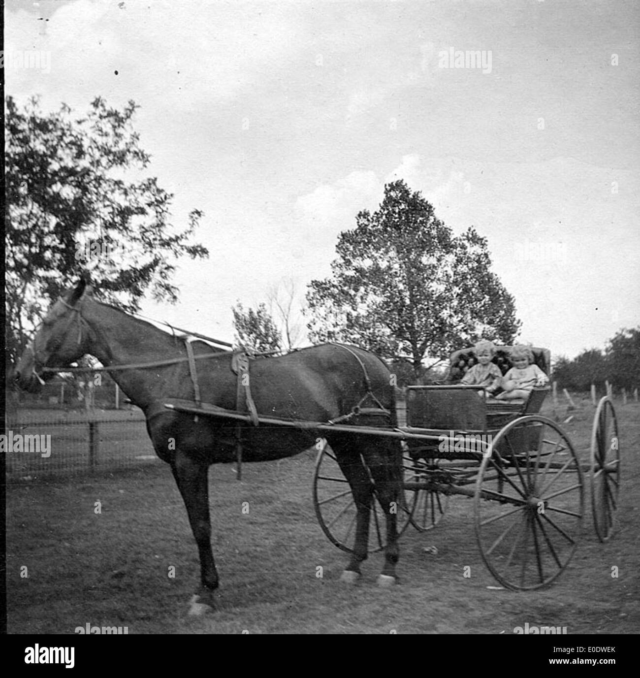 Children riding in horse drawn cart hi-res stock photography and images ...