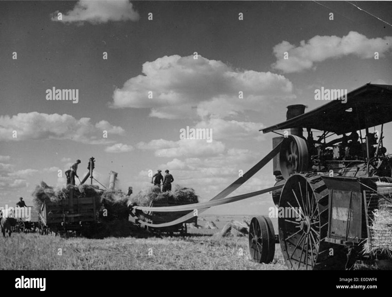 Vintage threshing machine in action hi-res stock photography and images ...