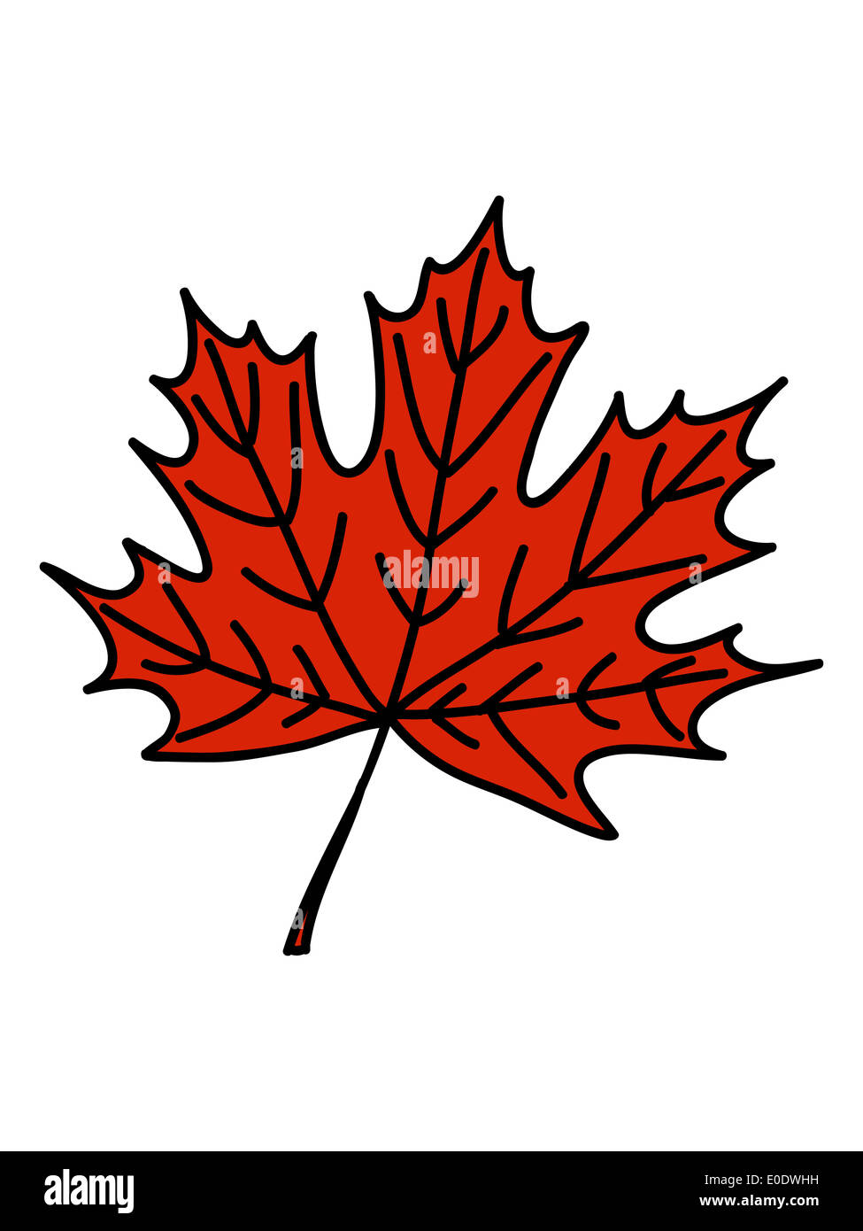 Red maple leaf illustration Stock Photo - Alamy