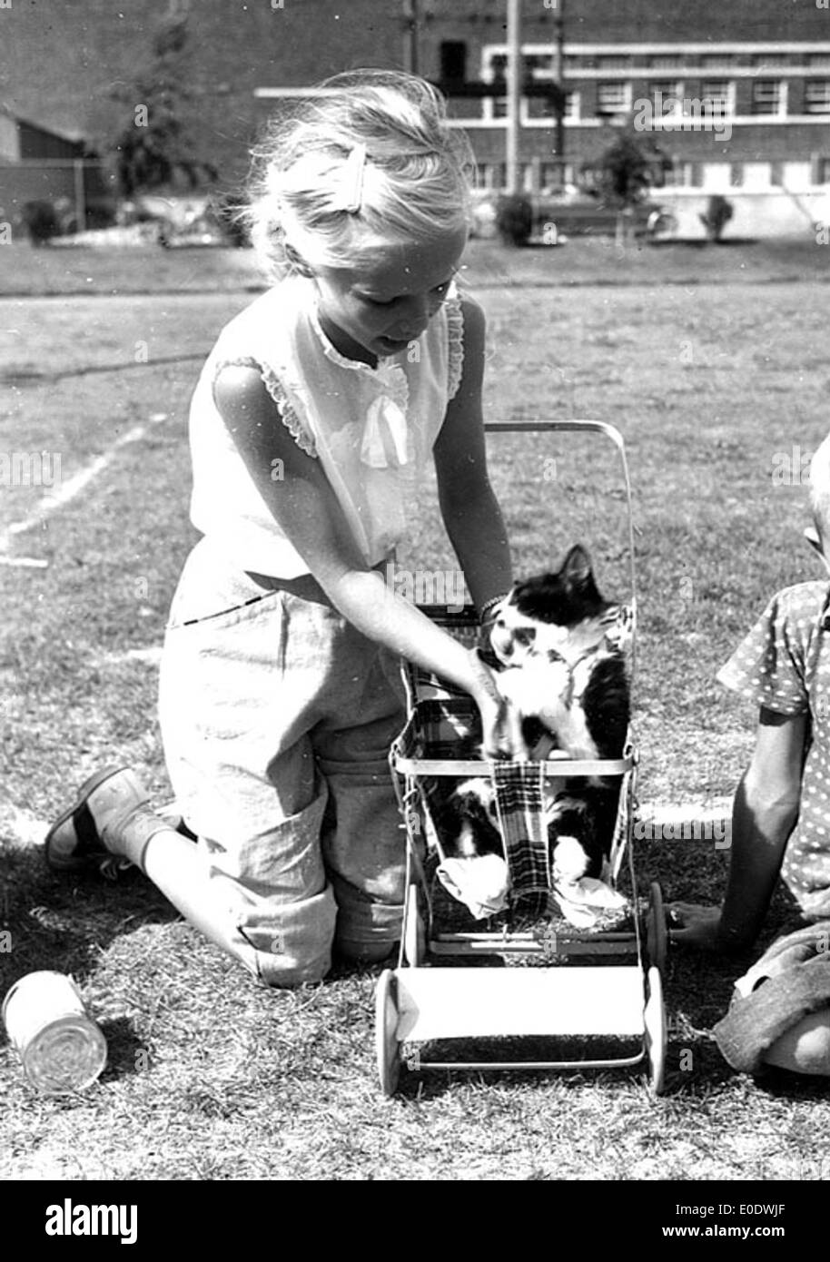 Cats parade hi-res stock photography and images - Alamy