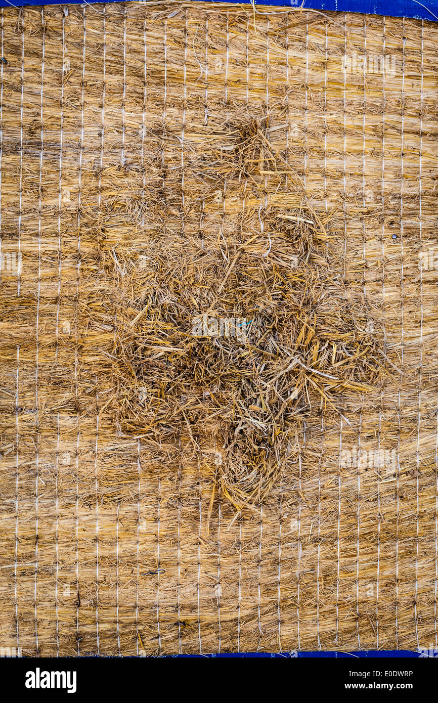 Straw mattress medieval hi-res stock photography and images - Alamy