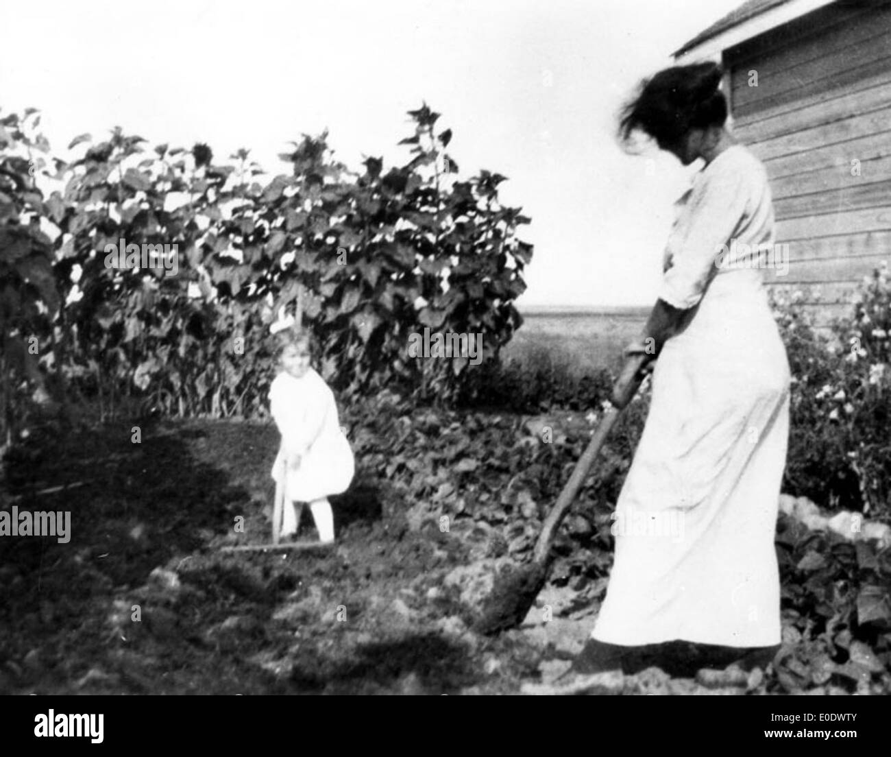 This photograph features Margaret Etta Ives Wheeler with her family ...