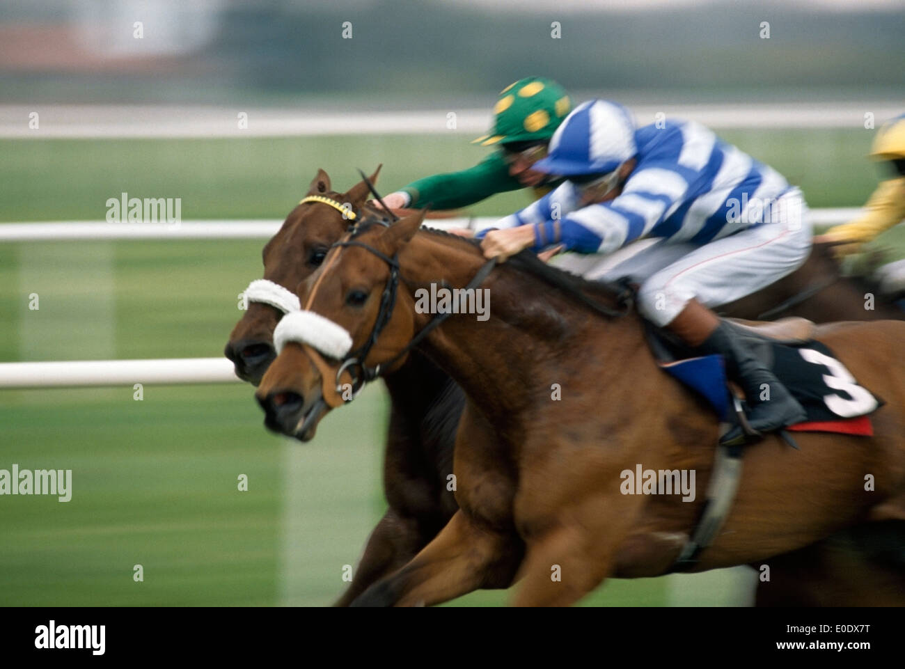 Phoenix park dublin racing hi-res stock photography and images - Alamy