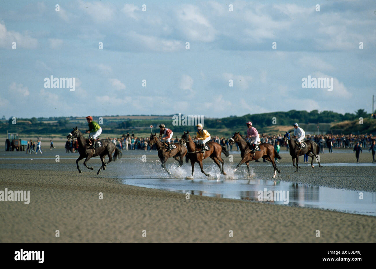 Riderhorseback hi-res stock photography and images - Alamy