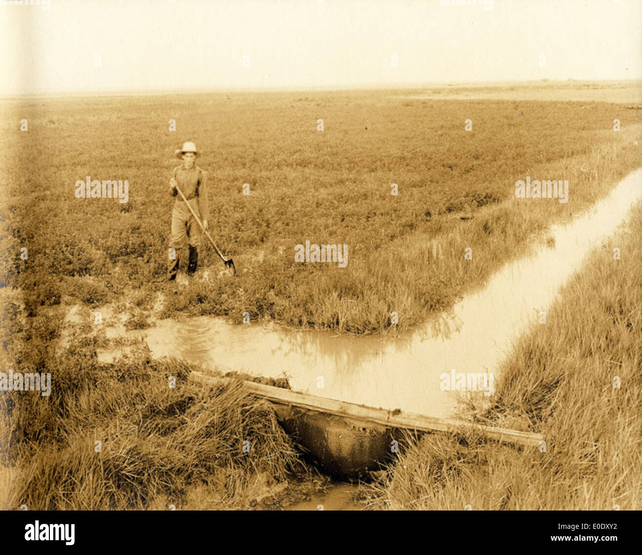 An image of the Galt Irrigation Canal system in Southern Alberta ...
