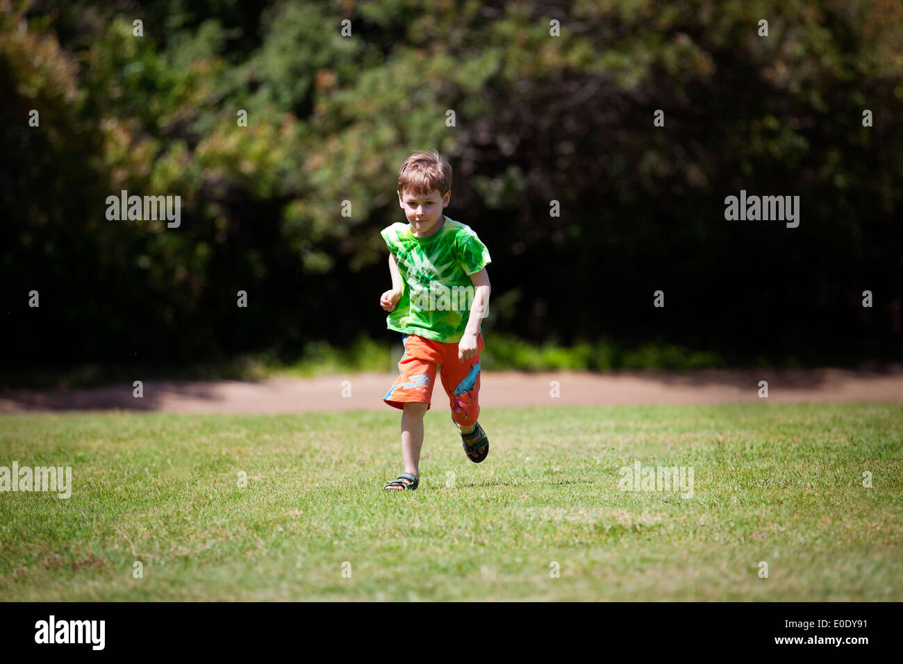 Young boy running uphill at Kirstenbosch Gardens Stock Photo - Alamy