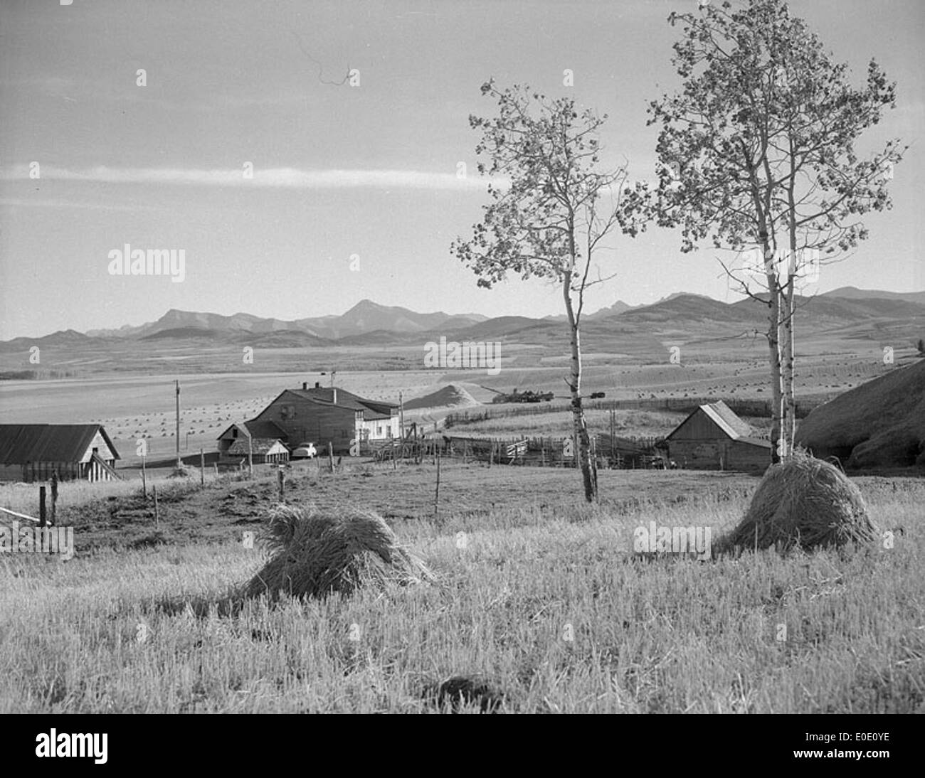 This image shows a farm situated in the foothills of southern Alberta ...