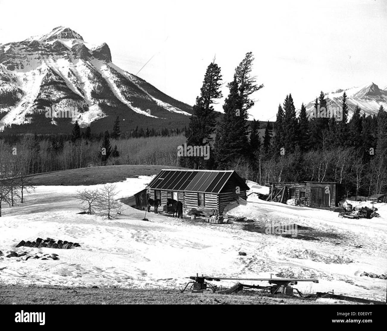 This image shows a farm located in the foothills, reflecting rural life ...