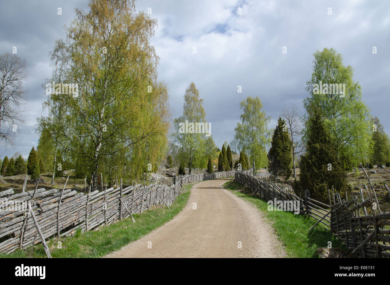 Winding gravel road through an old fashioned landscape with wooden ...