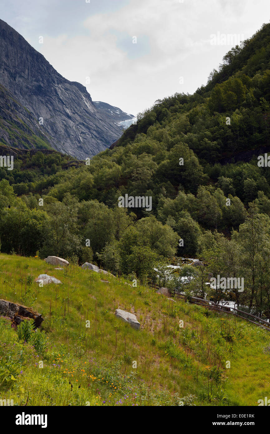 Fjords norway briksdal hi-res stock photography and images - Alamy