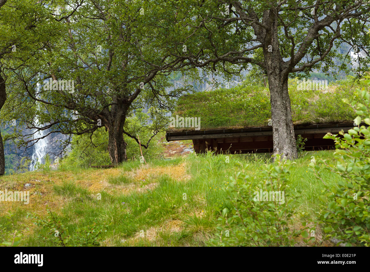 Waterfall and grass-covered hut in Olden, Norway Stock Photo - Alamy