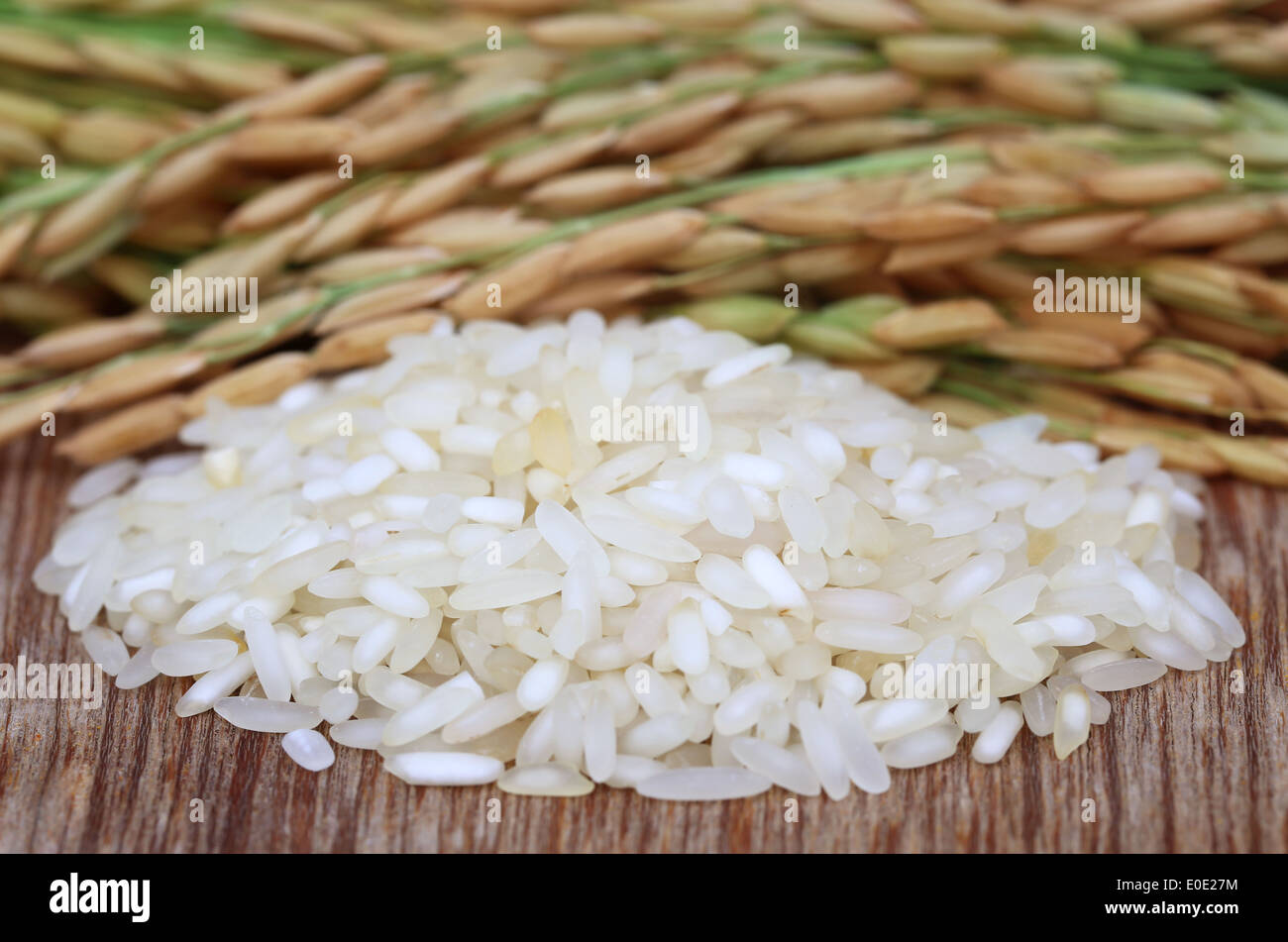 Golden color of rice seed hi-res stock photography and images - Alamy